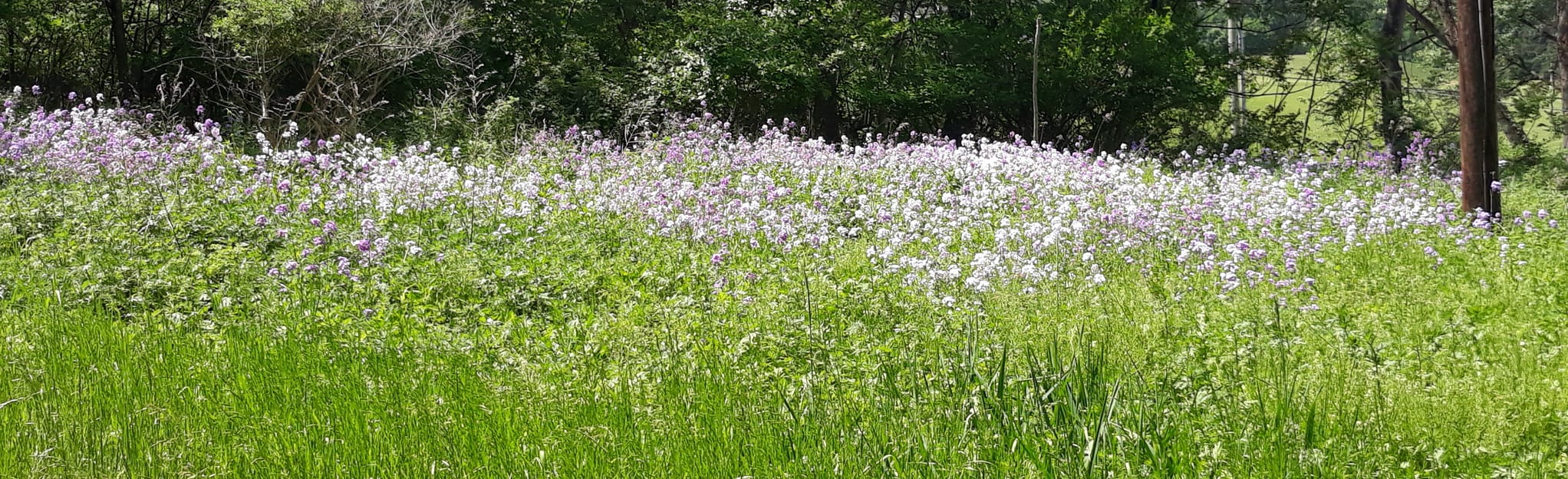 Marble Hill Ice Cave via Warren-Highlands Trail: 275 Reviews, Map - New ...