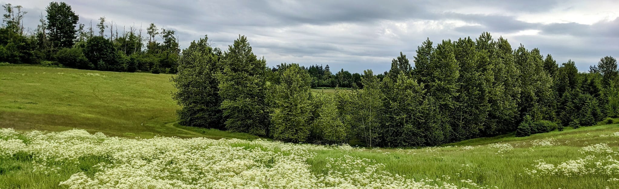 Rock'N Horse Trail, British Columbia, Canada - 163 Reviews, Map | AllTrails