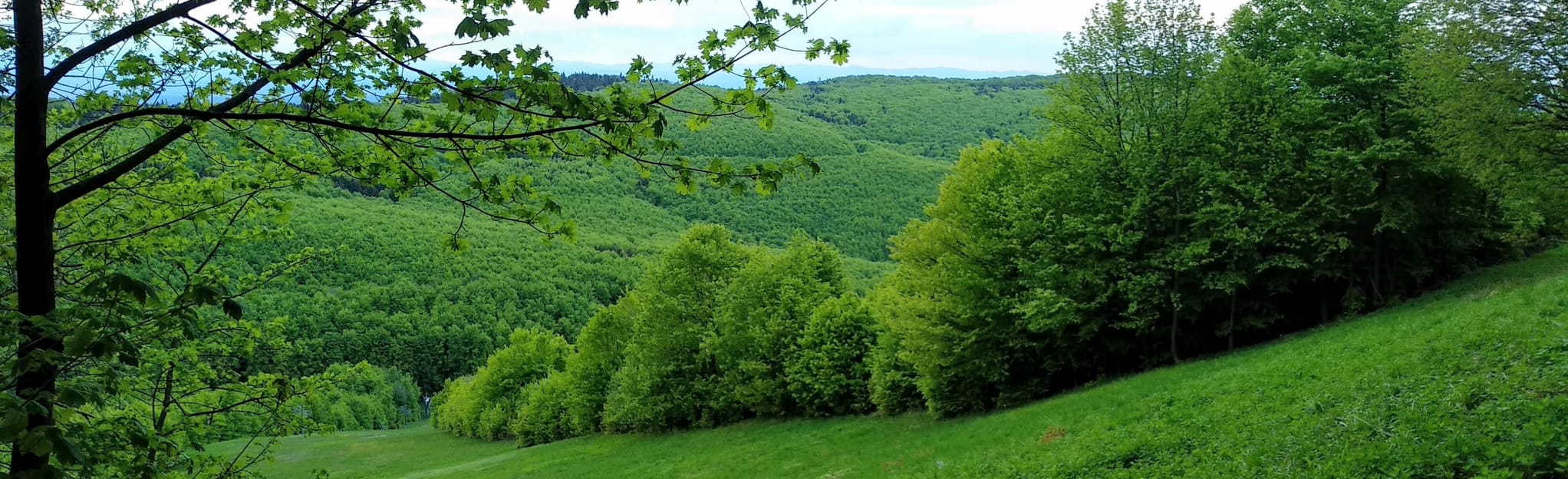 Bél-kő – Lillafüred, Heves, Hungary - 2 Reviews, Map | AllTrails