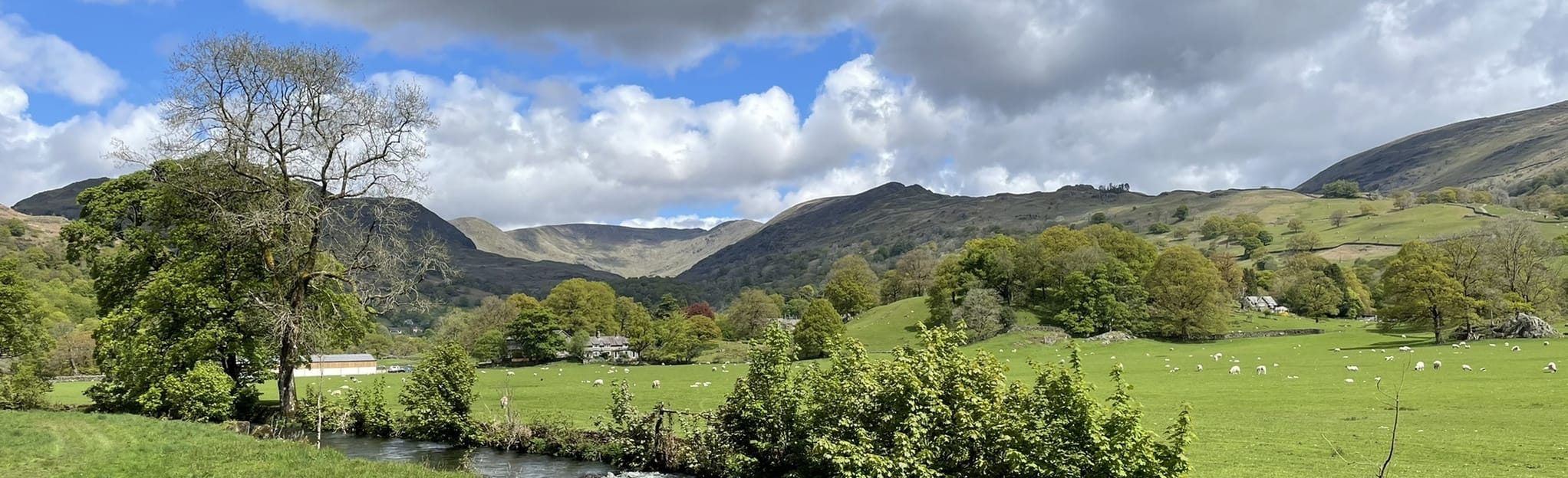 Loughrigg Fell Circular: 1,282 Reviews, Map - Cumbria, England | AllTrails