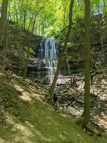 10 Best Waterfall Trails in Hamilton | AllTrails