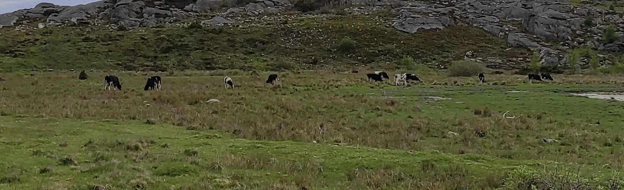 Vallda Sandö Summer Trail: 4 Fotos - Halland, Schweden | AllTrails