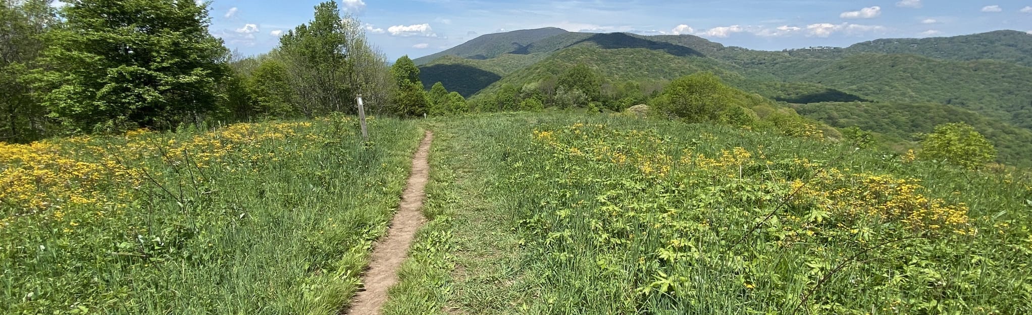 Devil Fork Gap to Coldspring Mountain via Appalchian Trail, Tennessee ...