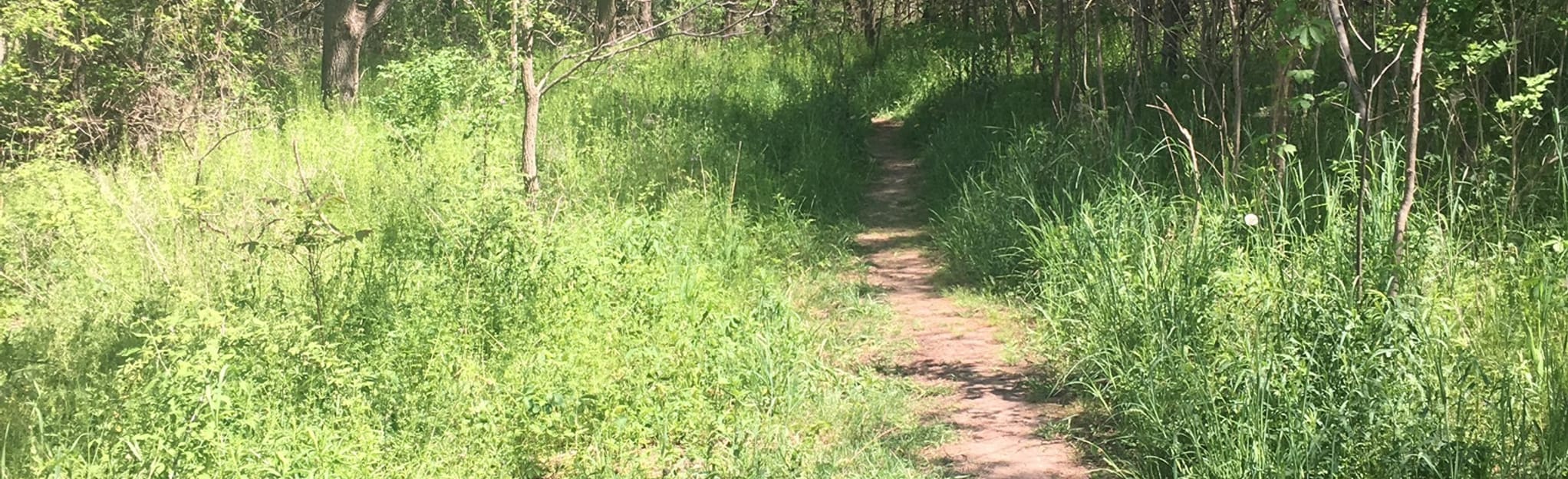 Bannister Lake Conservation Area Loop: 34 Reviews, Map - Ontario ...