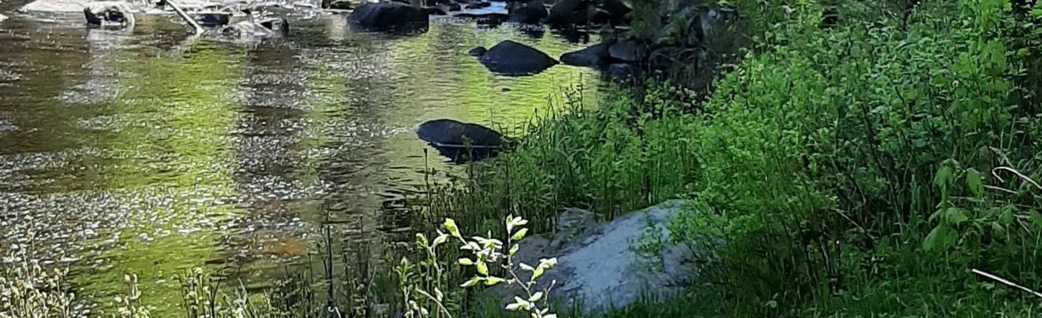 Shogomoc River Falls Trail, New Brunswick, Canada - 39 Reviews, Map ...