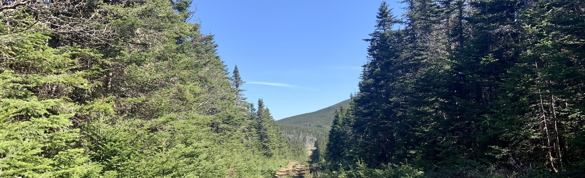 Boundary Peak via Porter Brook Road, Maine - 17 Reviews, Map | AllTrails
