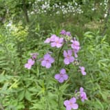 D&L Trail: Slatington - Jim Thorpe, Pennsylvania - 164 Reviews, Map ...