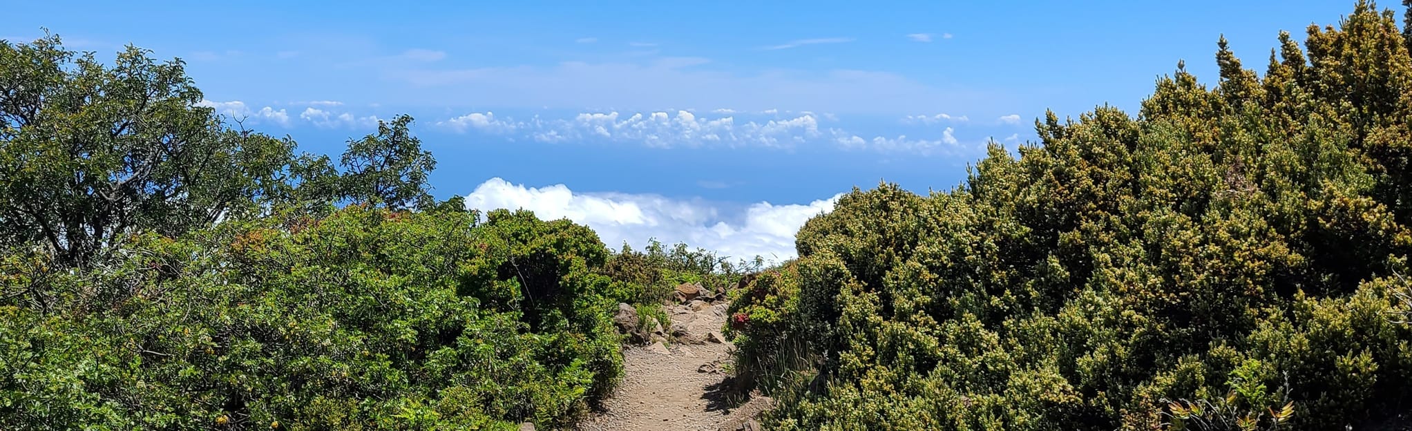 Leleiwi Overlook Trail - Maui, Hawaii | AllTrails