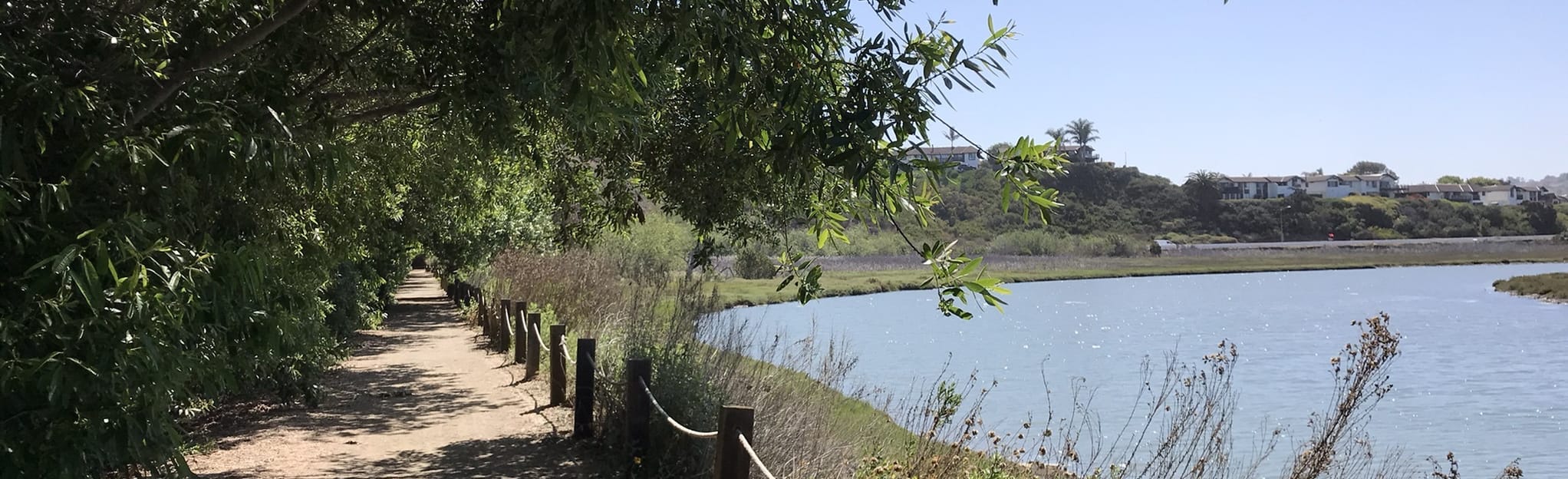 San Elijo Lagoon Nature Center Loop: 225 foto's - Californië | AllTrails