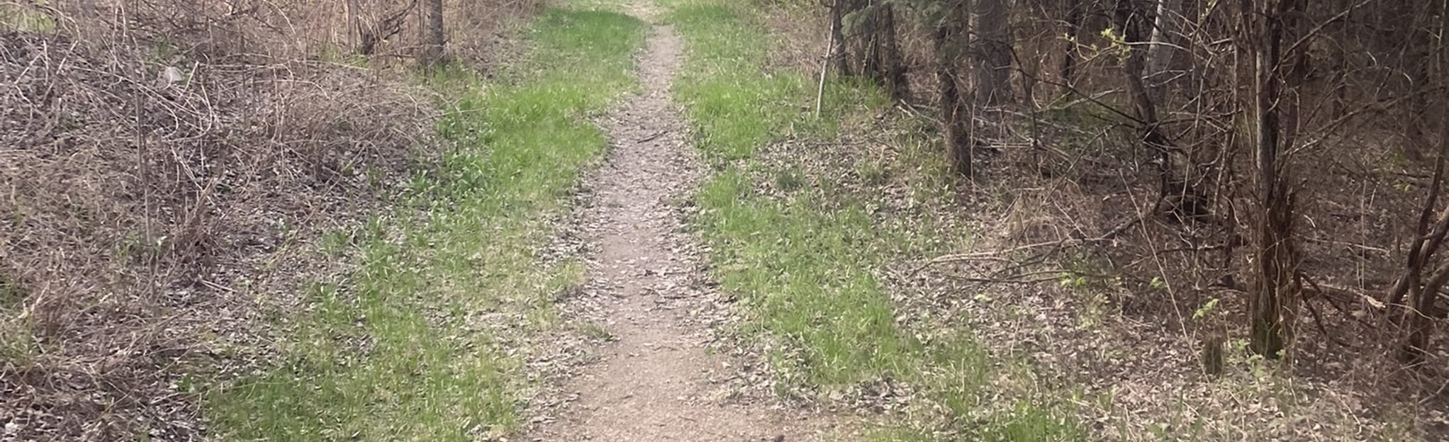 Crane Lake Loop, Alberta, Canada - 4 Reviews, Map | AllTrails