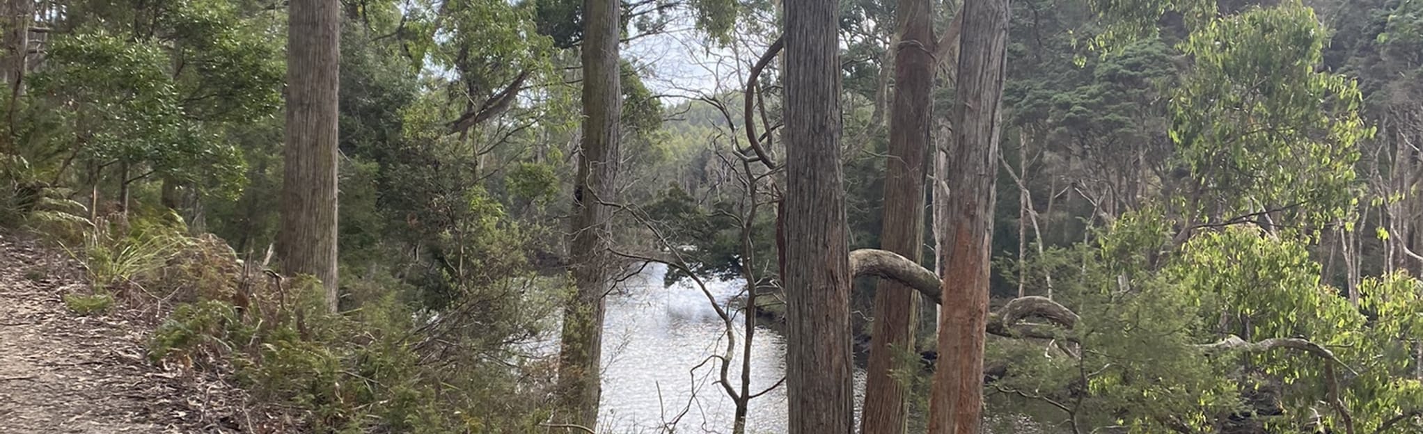 Inglis River Bridge to Bridge Walk, Tasmania, Australia - 30 Reviews ...