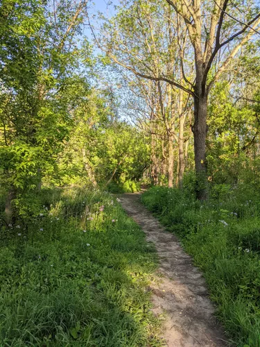 10 Best Walking Trails in London | AllTrails