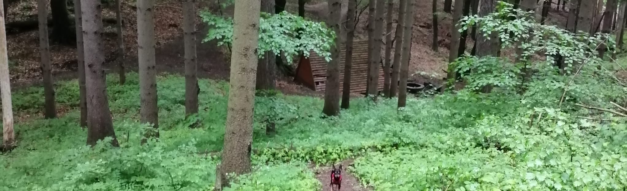 Sights around Velem, Vas, Hungary - Map, Guide | AllTrails