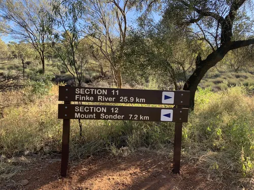 Best Camping Trails in Mount Zeil | AllTrails