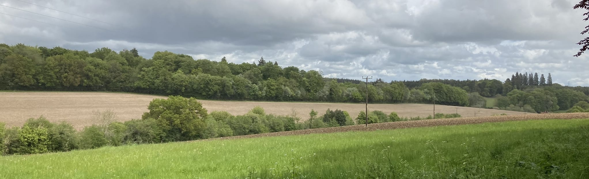 Ashampstead Woods Circular: 22 Reviews, Map - Berkshire, England ...