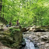 Avalon Loop Trail, Maryland - 293 Reviews, Map | AllTrails
