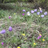 Red Grade Trails System, Wyoming - 110 Reviews, Map | AllTrails