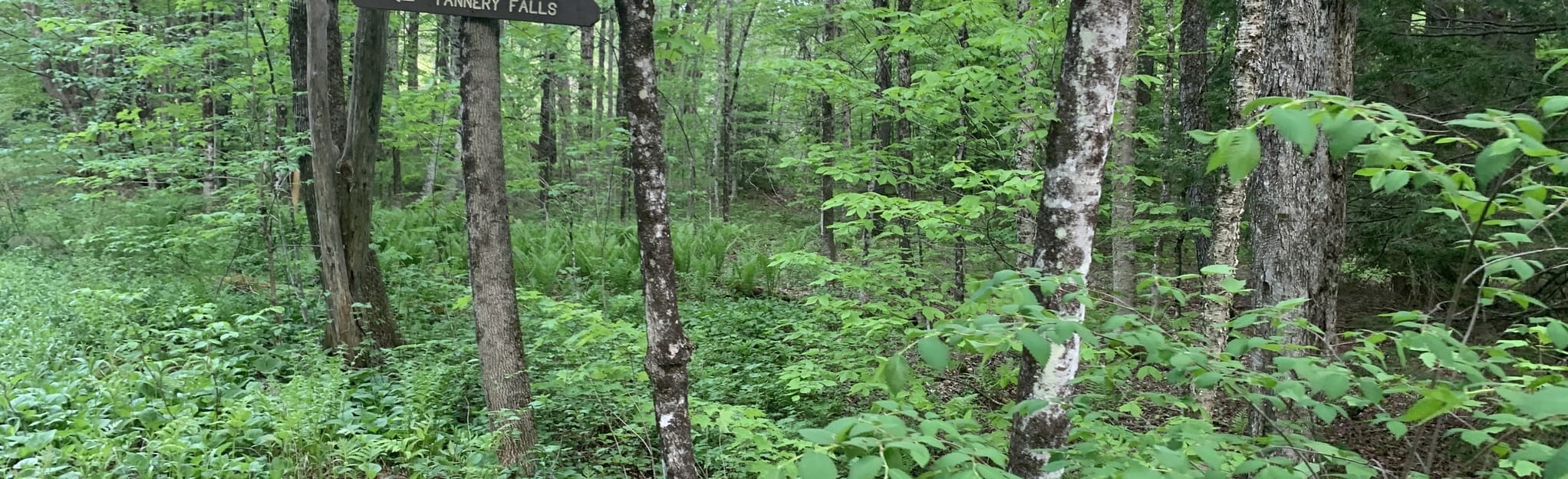 Balance Rock and Ross Brook Trail Loop | Map, Guide - Massachusetts ...