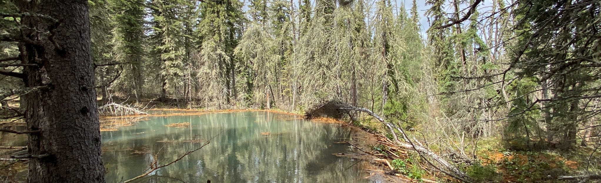 Freight Tait Springs Trail: 24 Reviews, Map - Saskatchewan, Canada ...