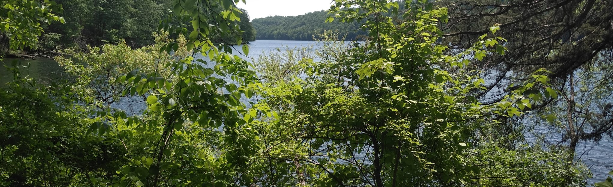 Butler Sanctuary Blue, Yellow, and Red Trail Loop: 23 Reviews, Map ...