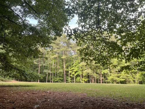 Best 10 Hikes and Trails in William B. Umstead State Park | AllTrails