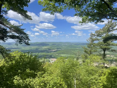 Best Hikes and Trails in Batten Kill State Forest | AllTrails