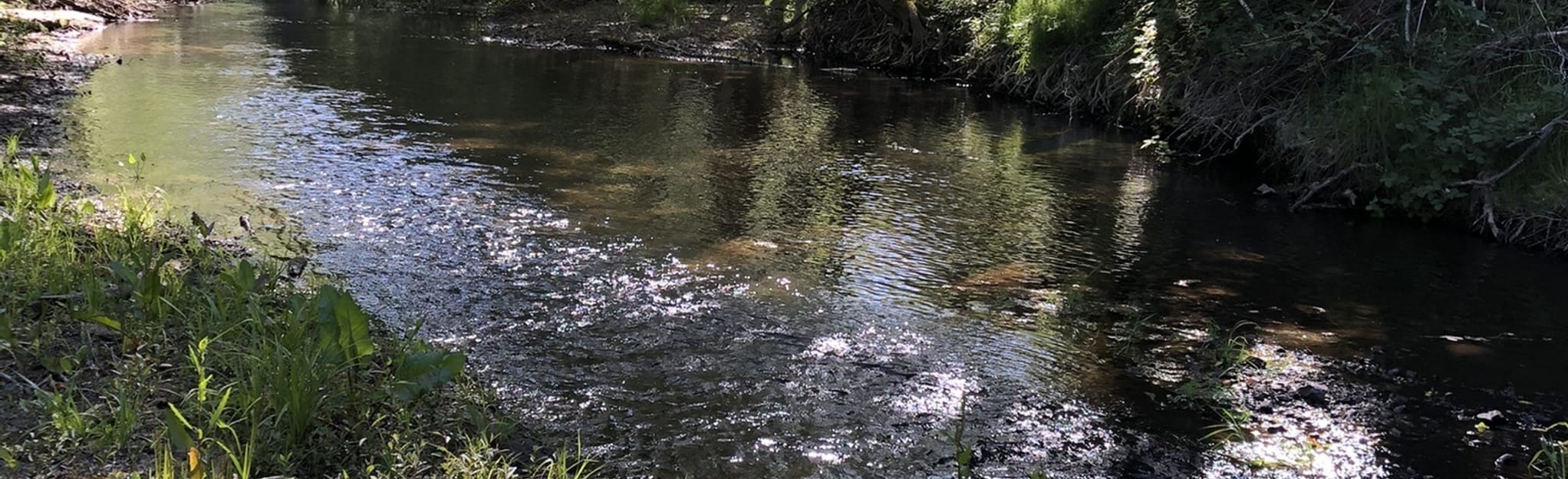 Brandon Gulch via Riley Ridge Rd and Little Lake Sherwood Trail: 17 ...