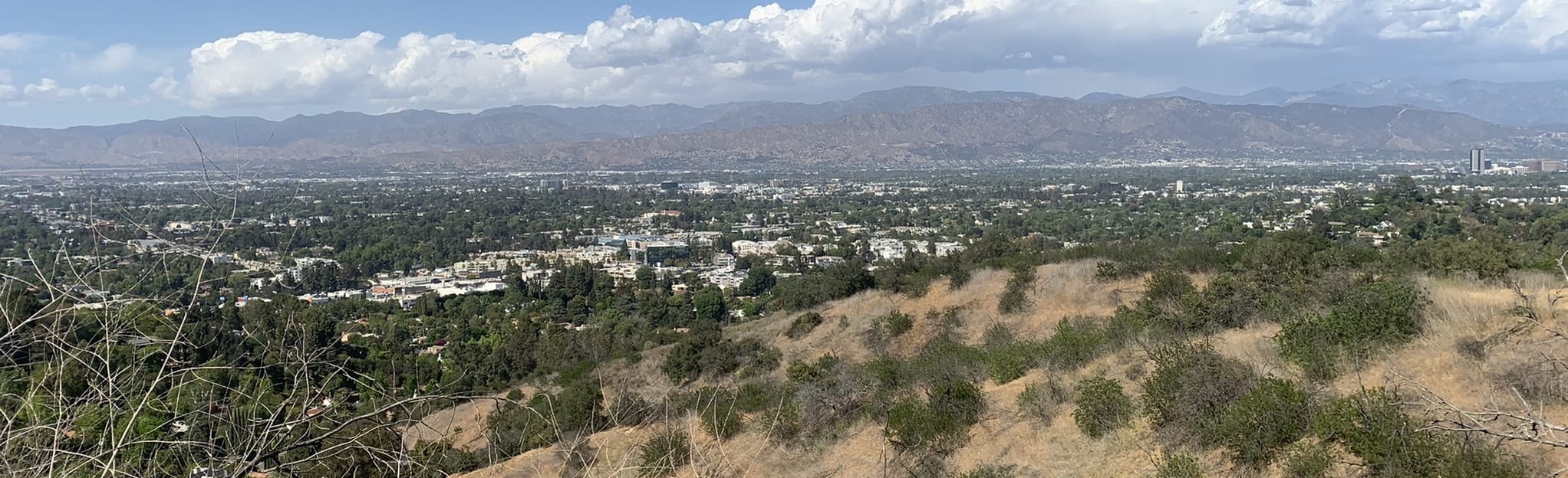 Fryman Canyon Trail, California - 5,935 Reviews, Map | AllTrails