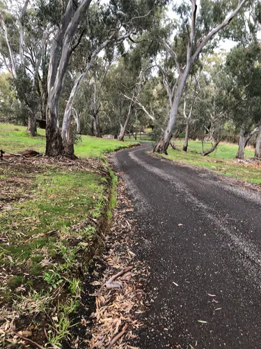 Best Trails, Walks, and Paths in Axedale | AllTrails