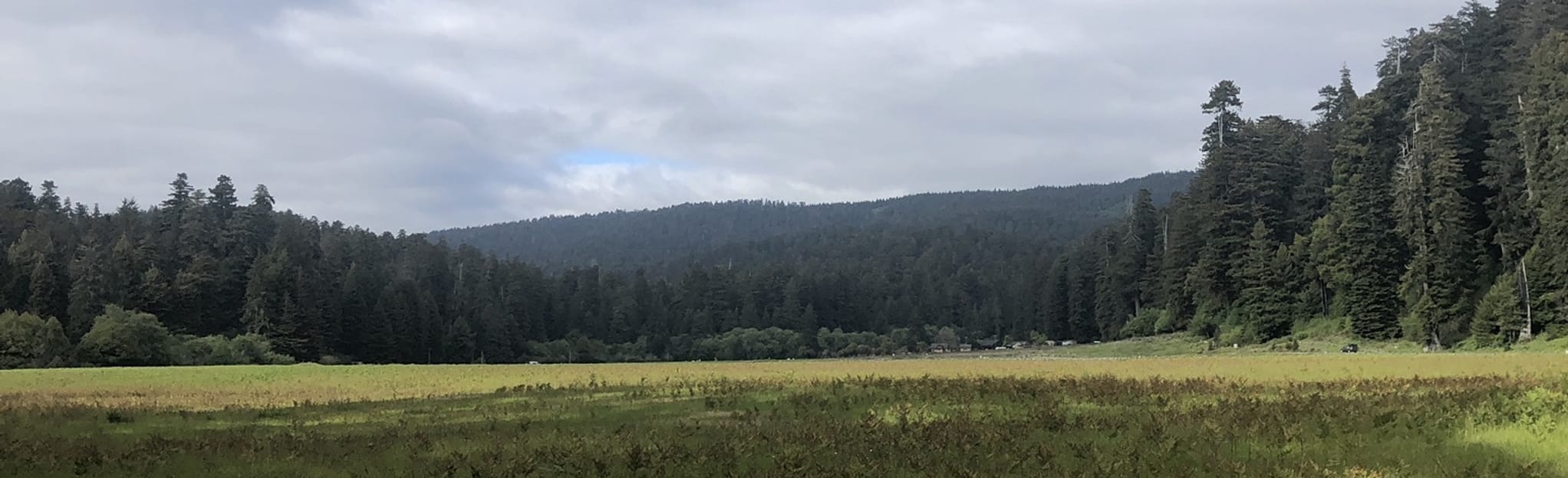 Elk Prairie Trail: 70 Reviews, Map - California | AllTrails