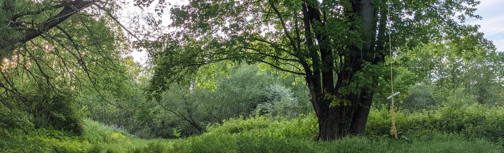 Red Lake and Indian River: 11 Reviews, Map - New York | AllTrails
