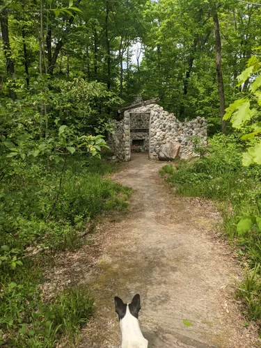 10 Best Trails and Hikes in Gravenhurst | AllTrails