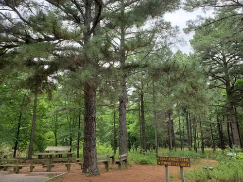 Best Hikes and Trails in Pilot Point | AllTrails