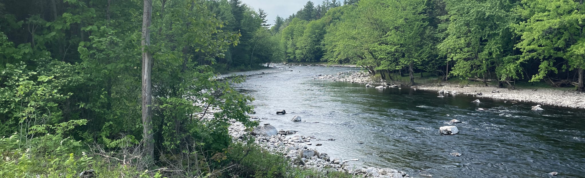 Stone Valley Trail, New York - 560 Reviews, Map | AllTrails