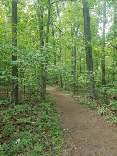 Best 10 Trails and Hikes in Indiana | AllTrails