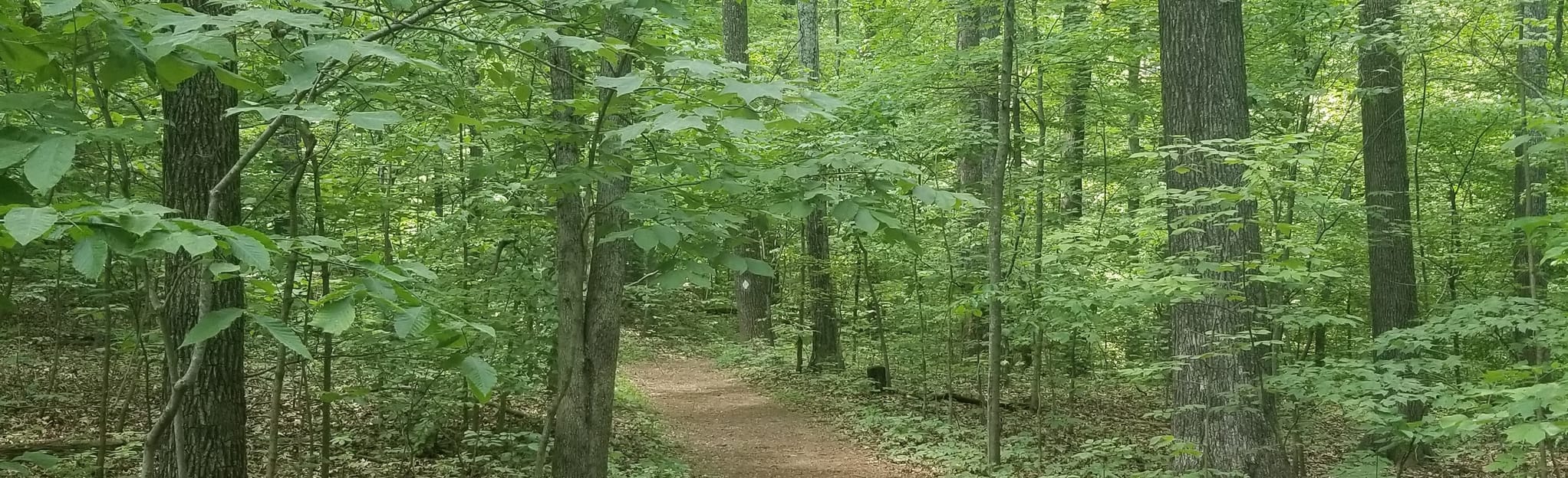 Hemlock Cliffs National Scenic Trail: 1009 Reviews, Map - Indiana ...