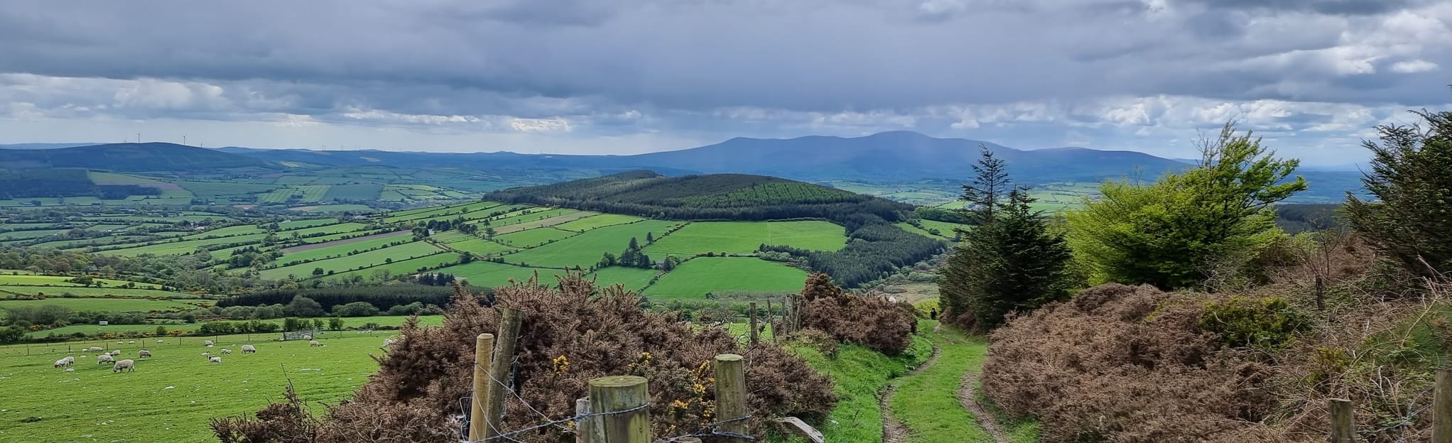 Wicklow Way: Clonegal - Mullinacuft, County Wexford, Ireland - 36 ...