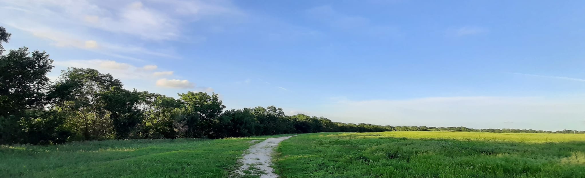 Chapin Park Loop: 29 Reviews, Map - Kansas | AllTrails