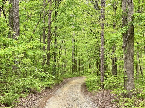 2023 Best 10 Off Road Driving Trails in Tennessee | AllTrails