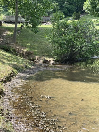 Best Hikes and Trails in Calvin Farmer Park | AllTrails