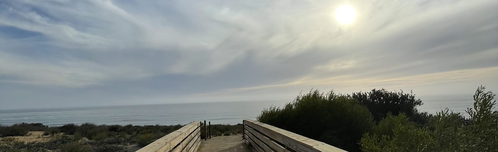 Sunset Cliffs Park Trail: 788 Reviews, Map - California | AllTrails