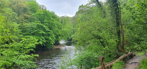 10 Best Walking Trails in Masham | AllTrails