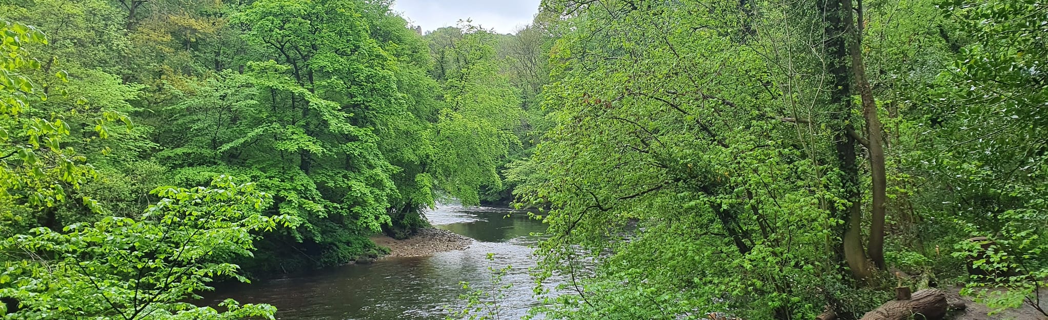 Masham and Grewelthorpe via Hackfall Circular, 316 Fotos - North ...