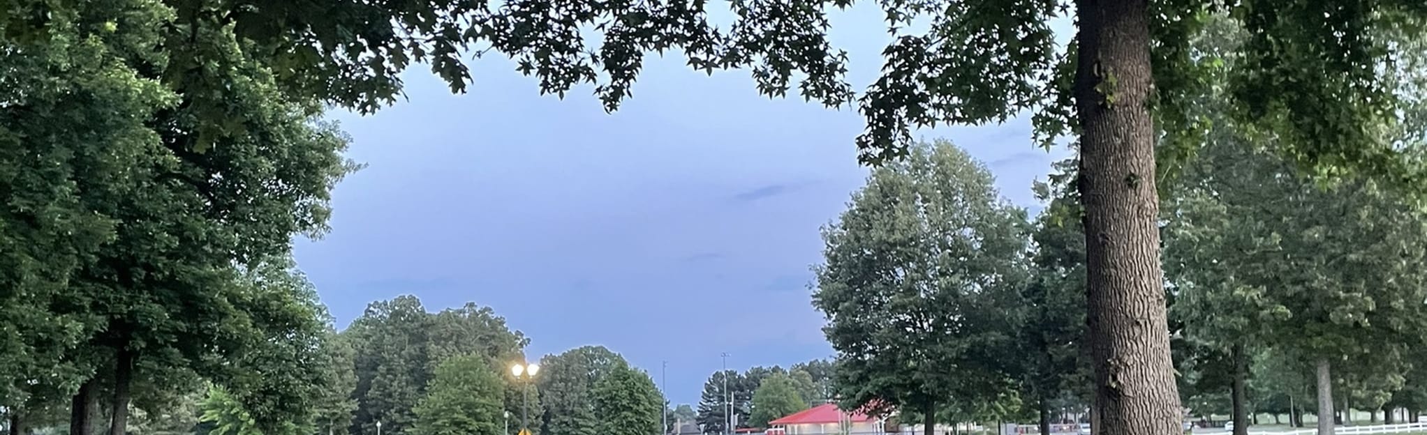 Snowden Loop: 35 Reviews, 2 Photos, Map - Mississippi | AllTrails