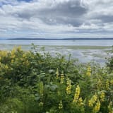 Larry Scott Trail, Washington - 363 Reviews, Map | AllTrails