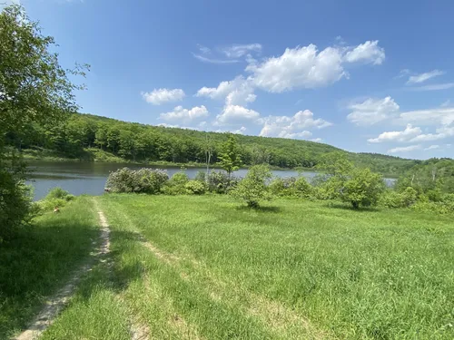 Best Hikes and Trails in Partridge Run Wildlife Management Area | AllTrails