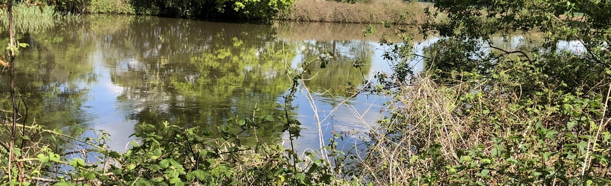 East Peckham, Man of Kent, and River Medway Circular: 22 Fotos - Kent ...