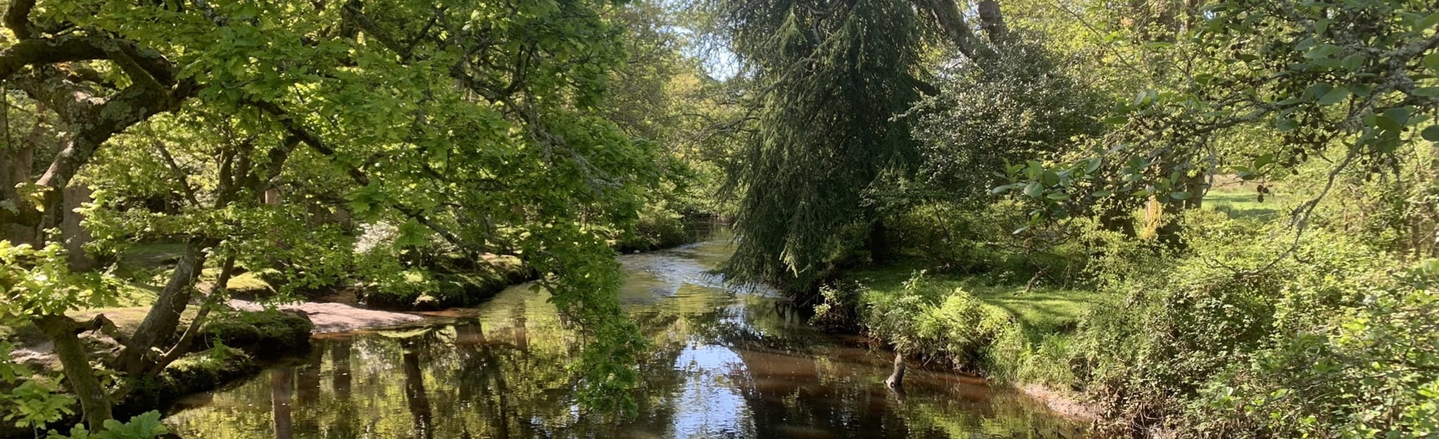 Roundhill to Brockenhurst | Map, Guide - Hampshire, England | AllTrails