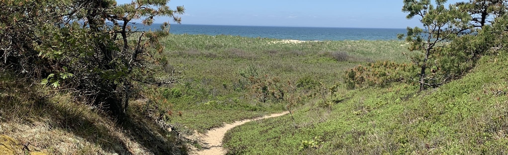 Griffin Island Loop: 67 Reviews, Map - Massachusetts | AllTrails