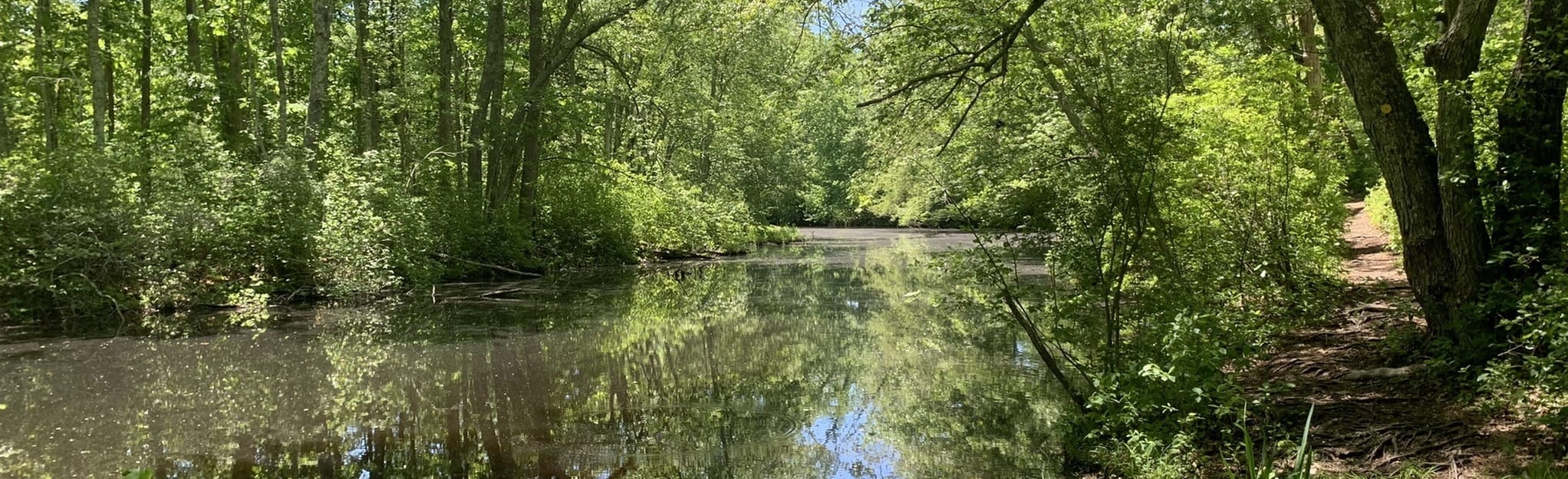 Dew Drop Inn Trail, Bicentennial Trail, and Tipping Rock Trail Loop ...
